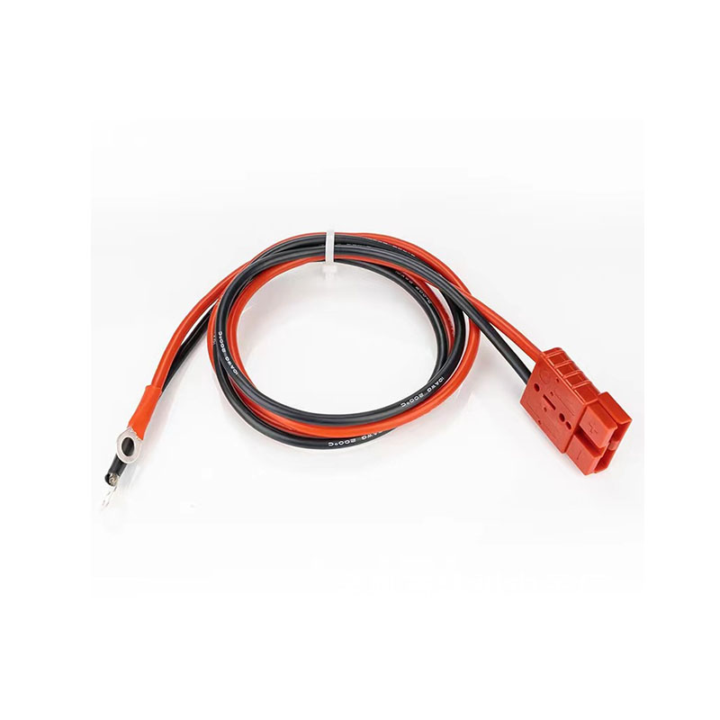 Anderson Plug to O-shaped Terminal Charging Cable - FPIC