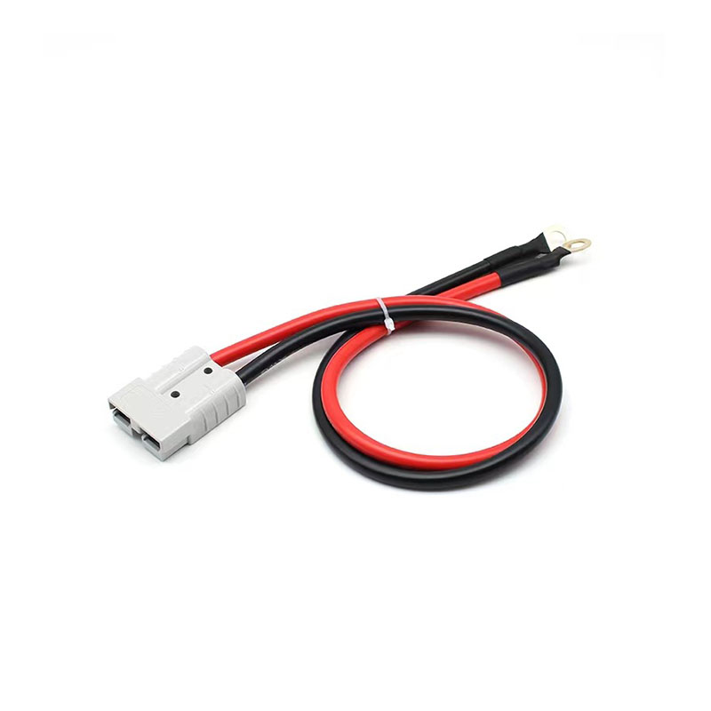 Anderson Plug to O-shaped Terminal Charging Cable - FPIC